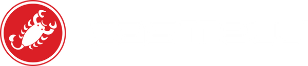 Bienvenue chez Castelli - Vêtements de Haute Performance et Élégance